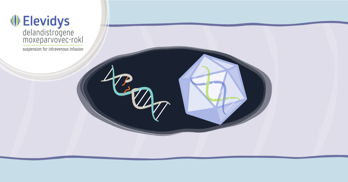 About ELEVIDYS (delandistrogene moxeparvovec-rokl)